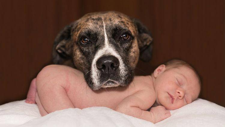 6 Stages of Parenthood: Find Which Stage of Parenting You Are In