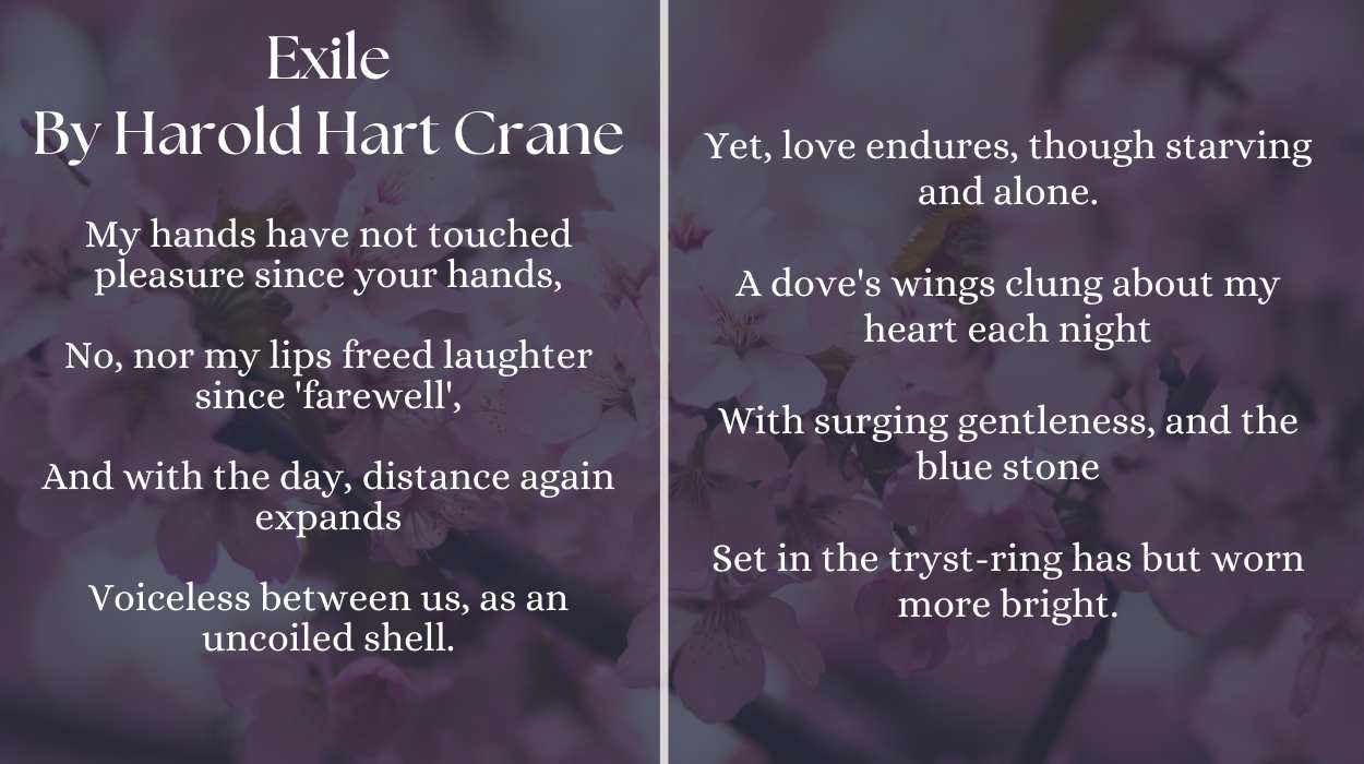 25 Best Love Poems For Him Long Distance
